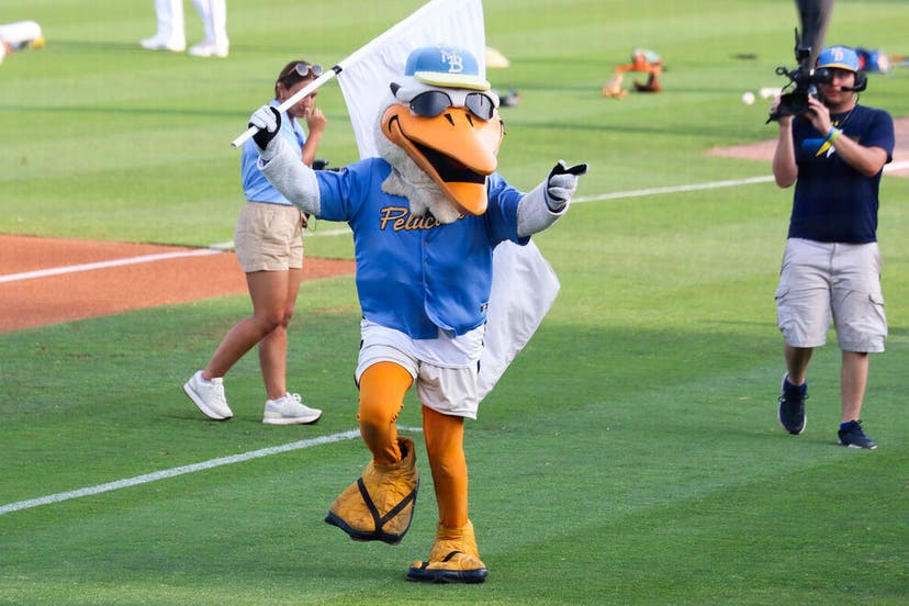 10 best minor league baseball mascots that are a hit with fans