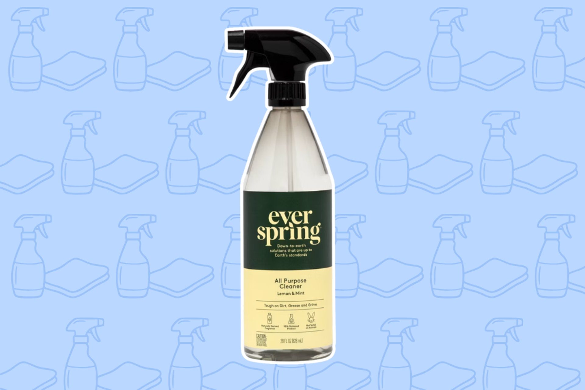 I asked professional cleaners what products actually work — here are ...