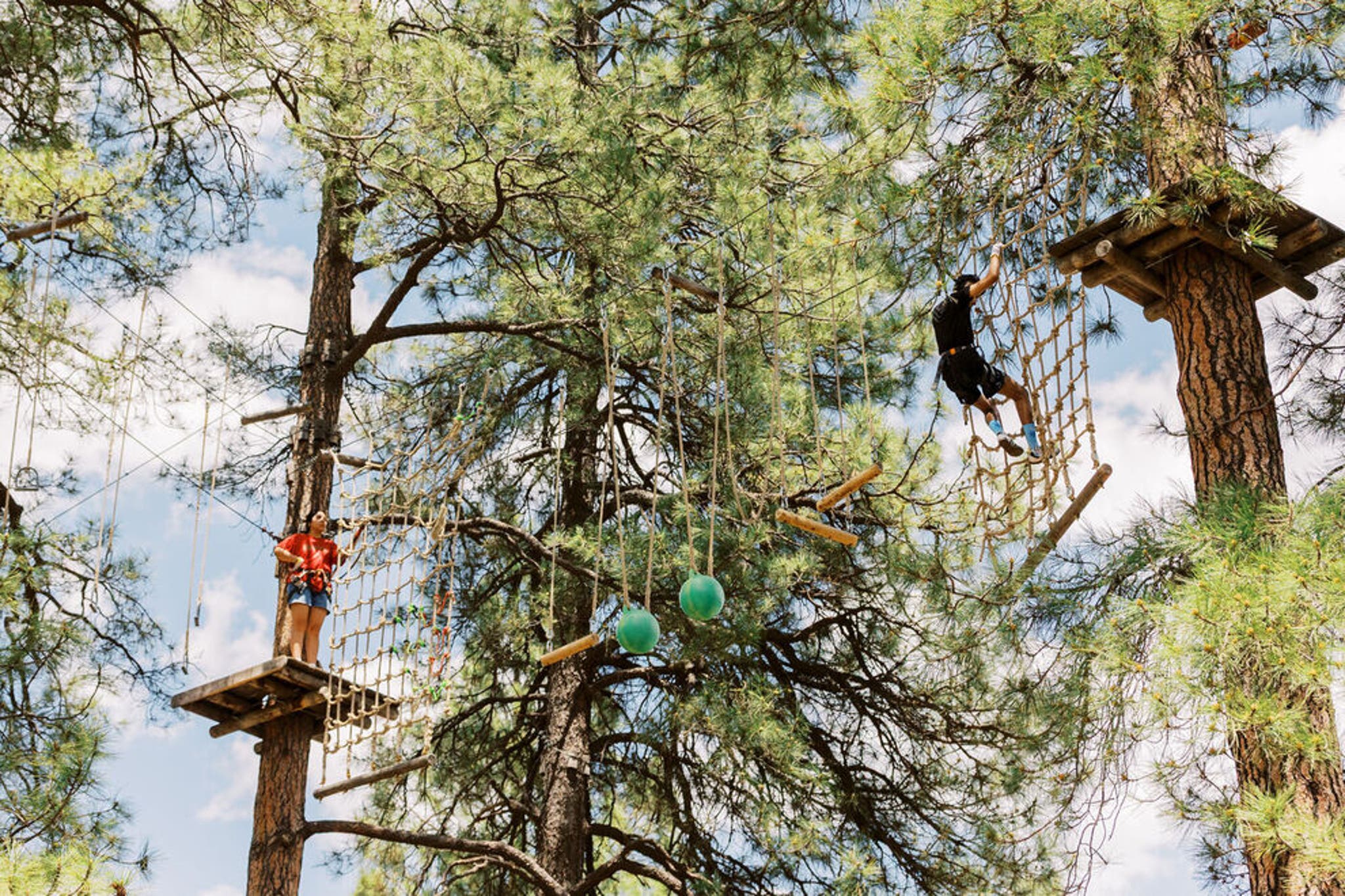 What is the Best Aerial Adventure Park for 2026?