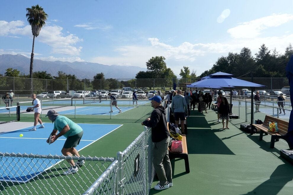 What is the Best Pickleball Paddle for 2026?