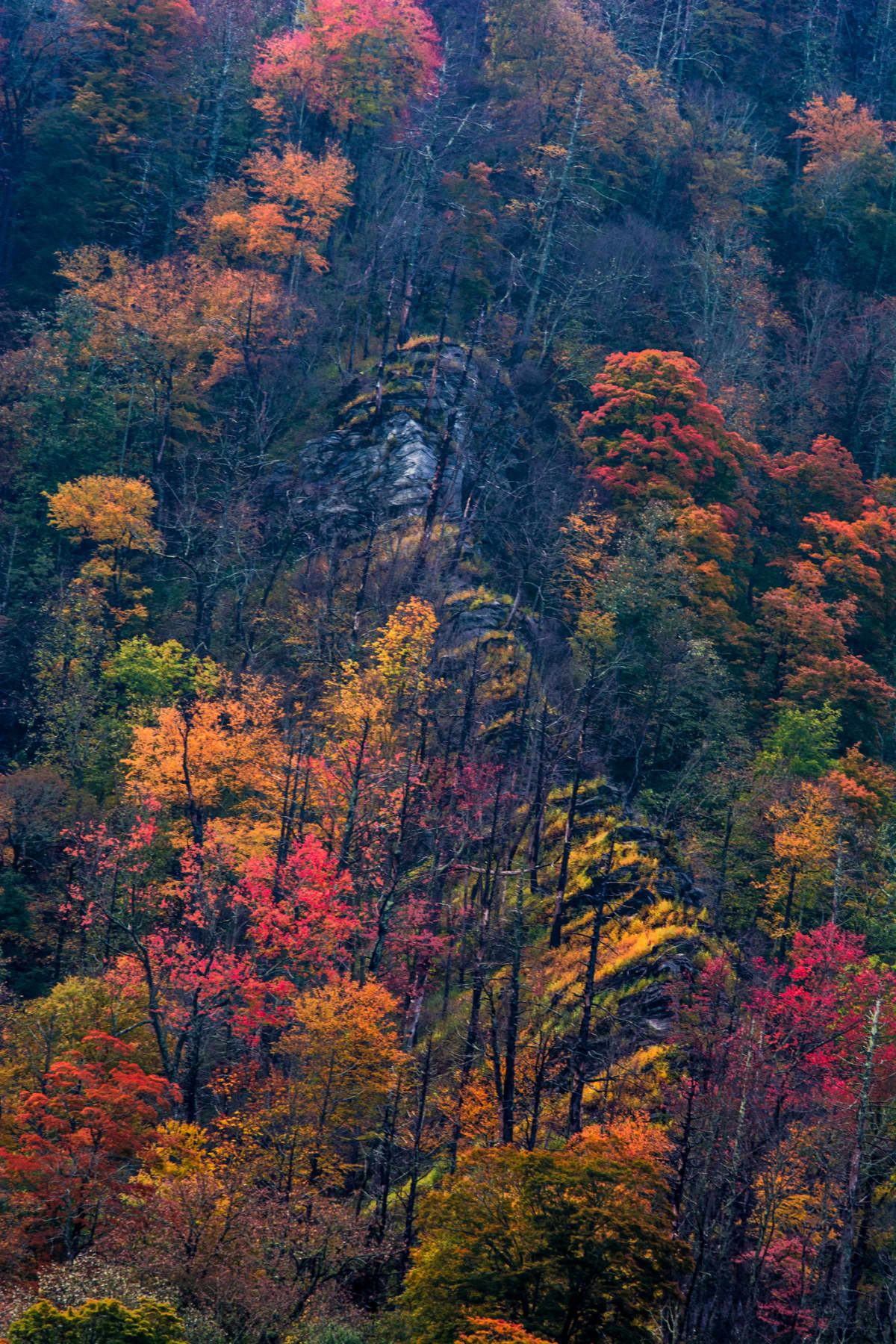 Peak Fall Foliage Smoky Mountains
