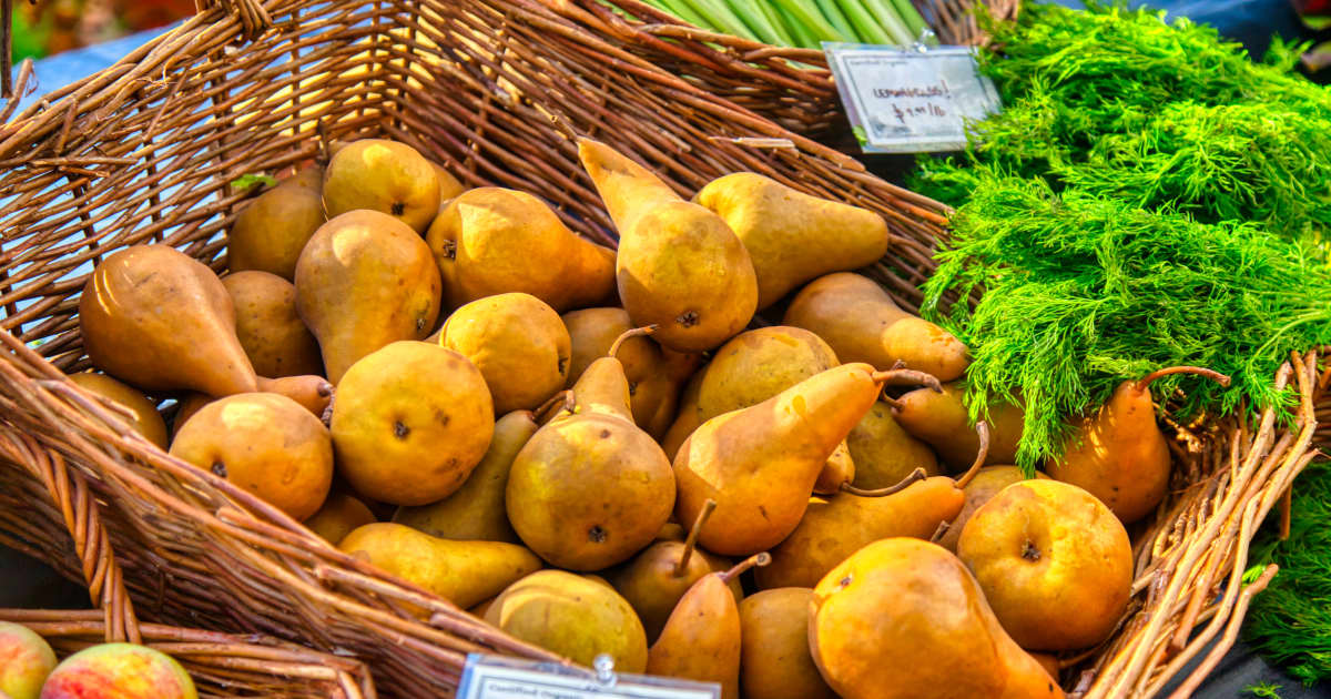 Best varieties of five common fruits