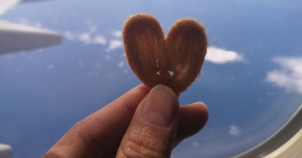 10 healthy and tasty snacks to pack for your next flight